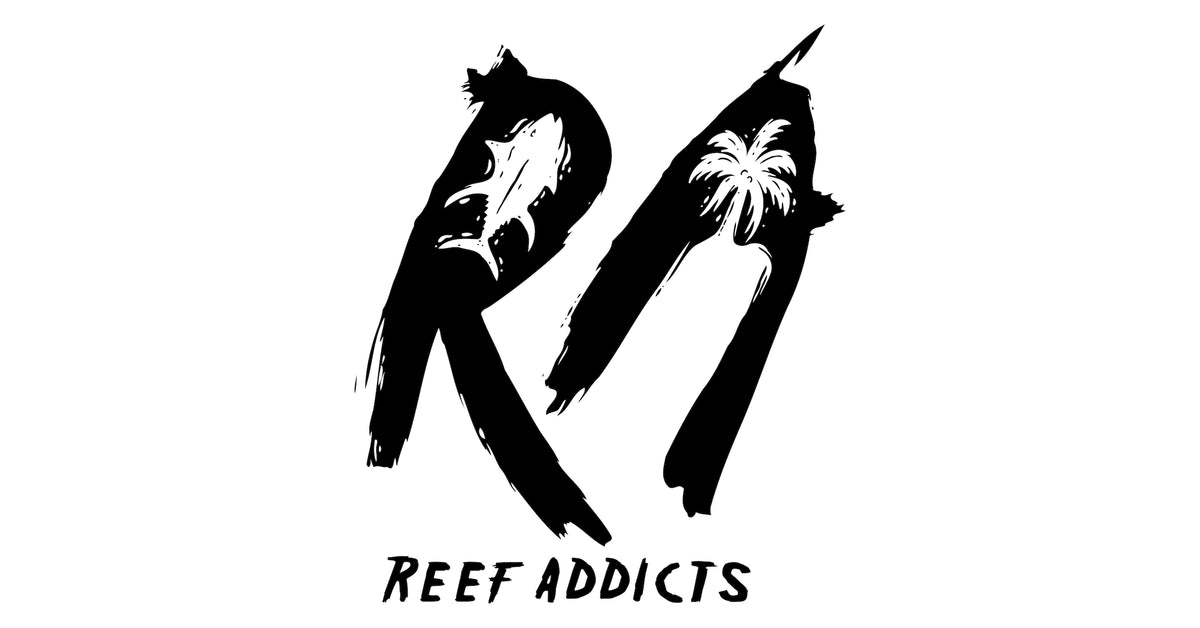 Shorts – Reef Addicts